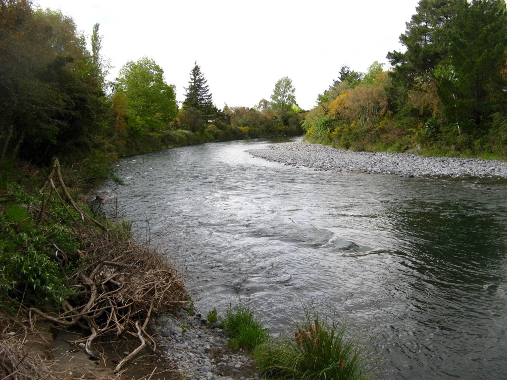 More Tongariro River images – Tongariro River Motel