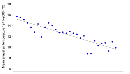 Mayfly distribution in New Zealand – Tongariro River Motel