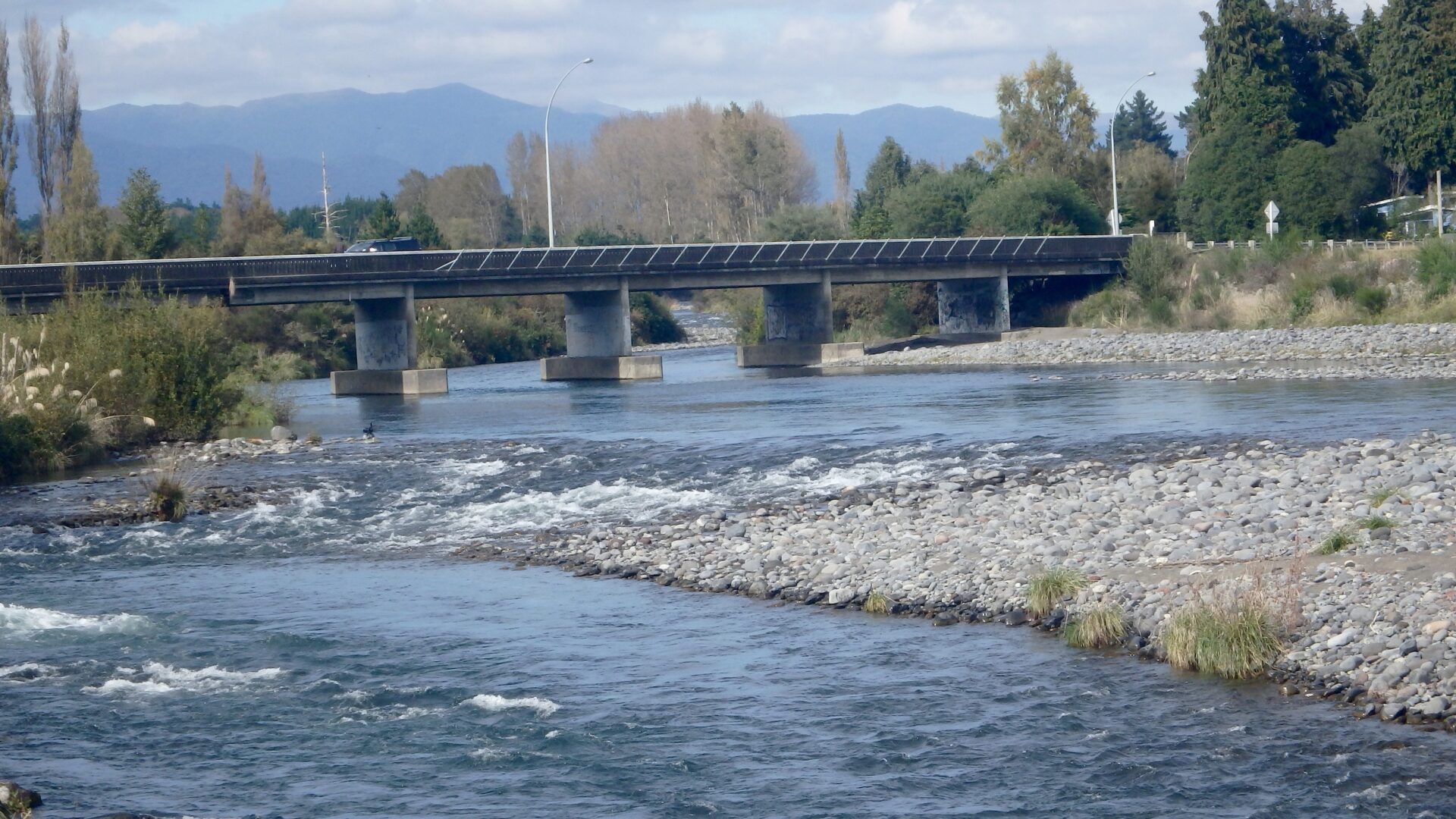 Other more neglected river access trails… – Tongariro River Motel