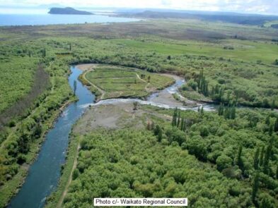 The Queen’s Chain demystified…? – Tongariro River Motel